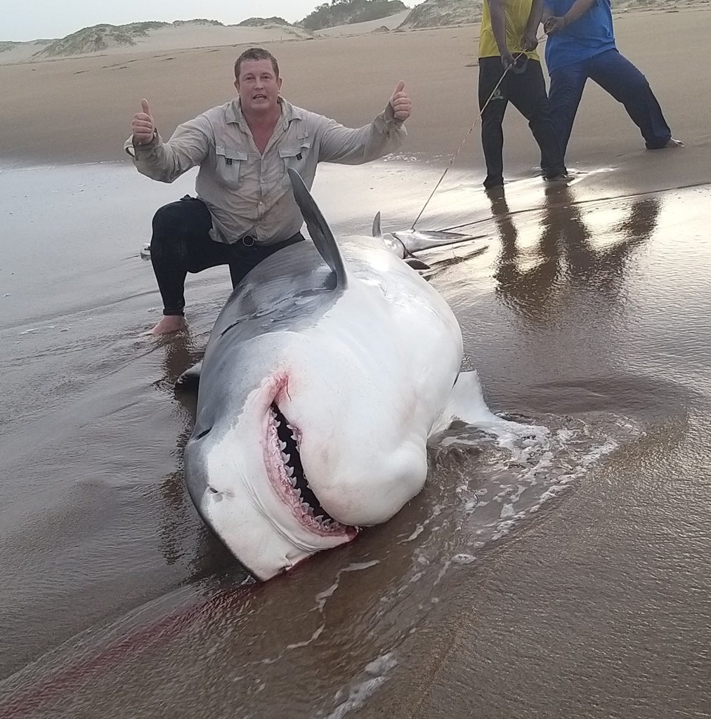 Popular Drones and RC Boats for Land Based Shark Fishing - South ...