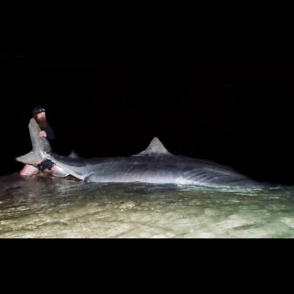 Legends - South Florida Shark Club | Shark Fishing Forum and History