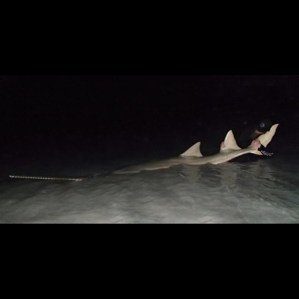 Legends - South Florida Shark Club | Shark Fishing Forum and History